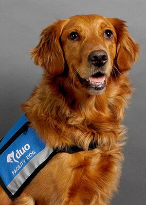 Forensic Interview - Child Advocacy Center